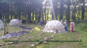 Enseignement elfique niveau 1 - Le M'Onde d'Elimiah